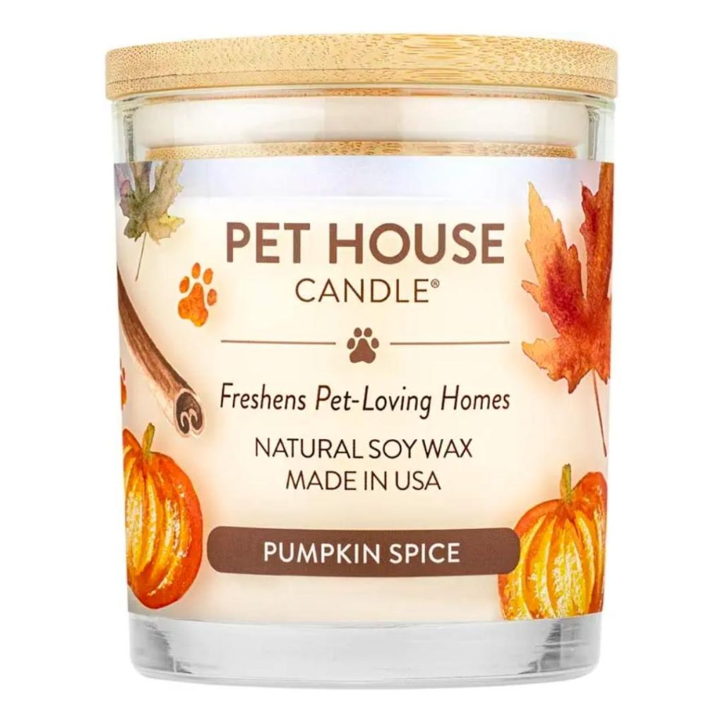 12 Best Fall Candles for Calming Vibes - The Balanced CEO