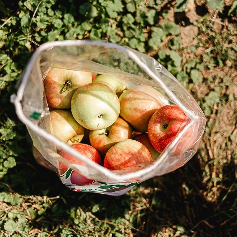 5 Reasons You Should Try Seasonal Eating This Fall - The Balanced CEO